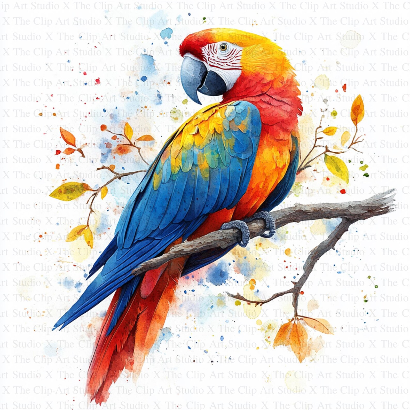 Colorful Parrot Clipart 10 High Quality Jpgs Digital Download Nursery ...
