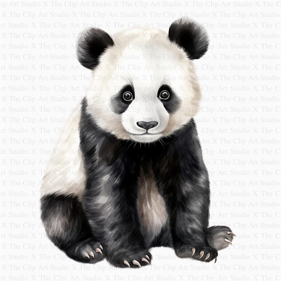 Panda Clipart | 10 High Quality Jpgs | Digital Download | Digital Paper ...