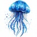Jellyfish Clipart | 10 High Quality Jpgs | Digital Download | Sea Jelly ...