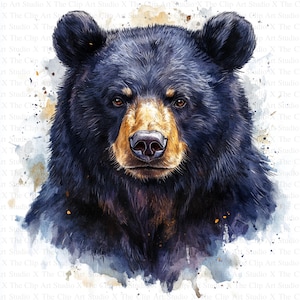 Watercolor Black Bear Clipart | 10 High Quality Jpgs | Digital Download ...
