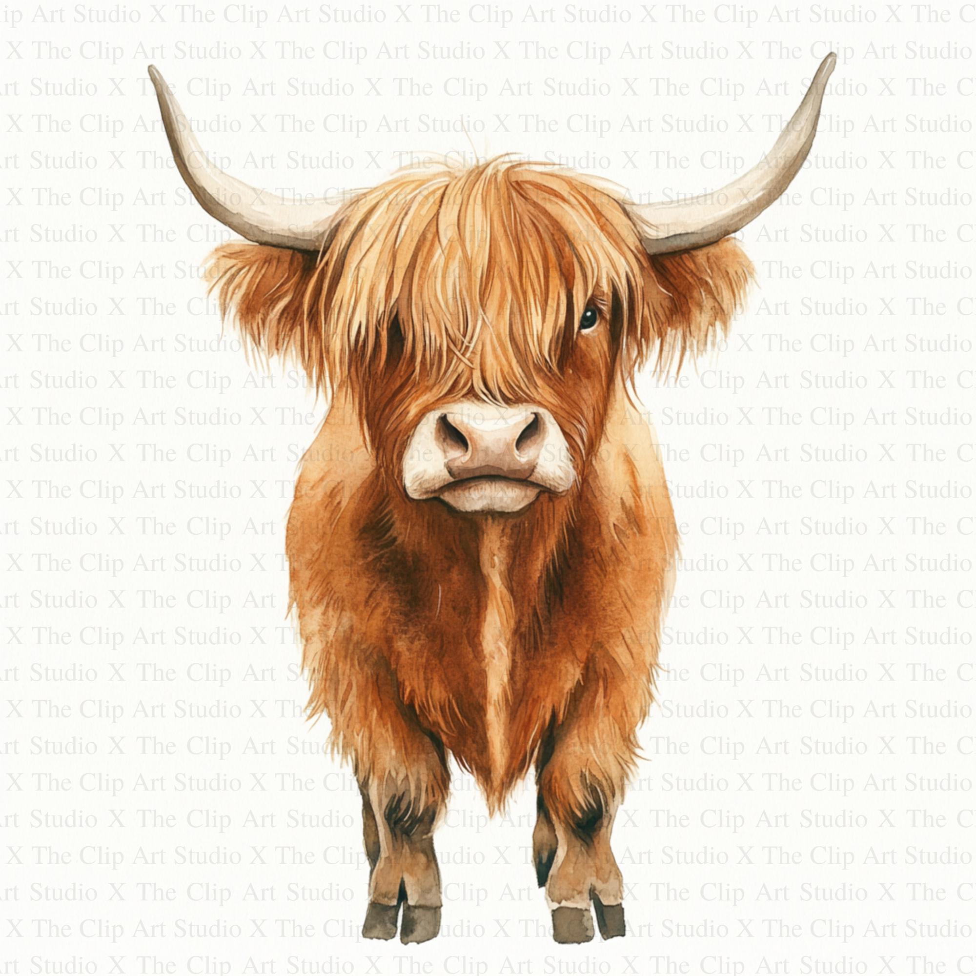 Highland Cow Farm Clipart | 10 High Quality Jpgs | Digital Download ...