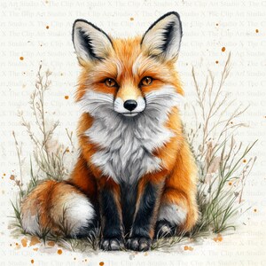 Watercolor Cute Foxes Clipart | 10 High Quality Jpgs | Digital Download ...
