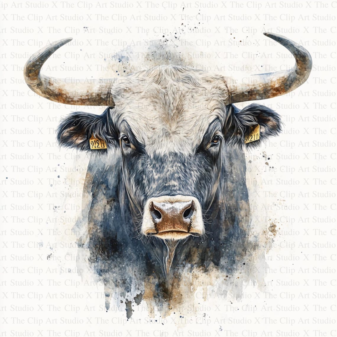 Bull Clipart | 10 High Quality Jpgs | Instant Digital Download ...