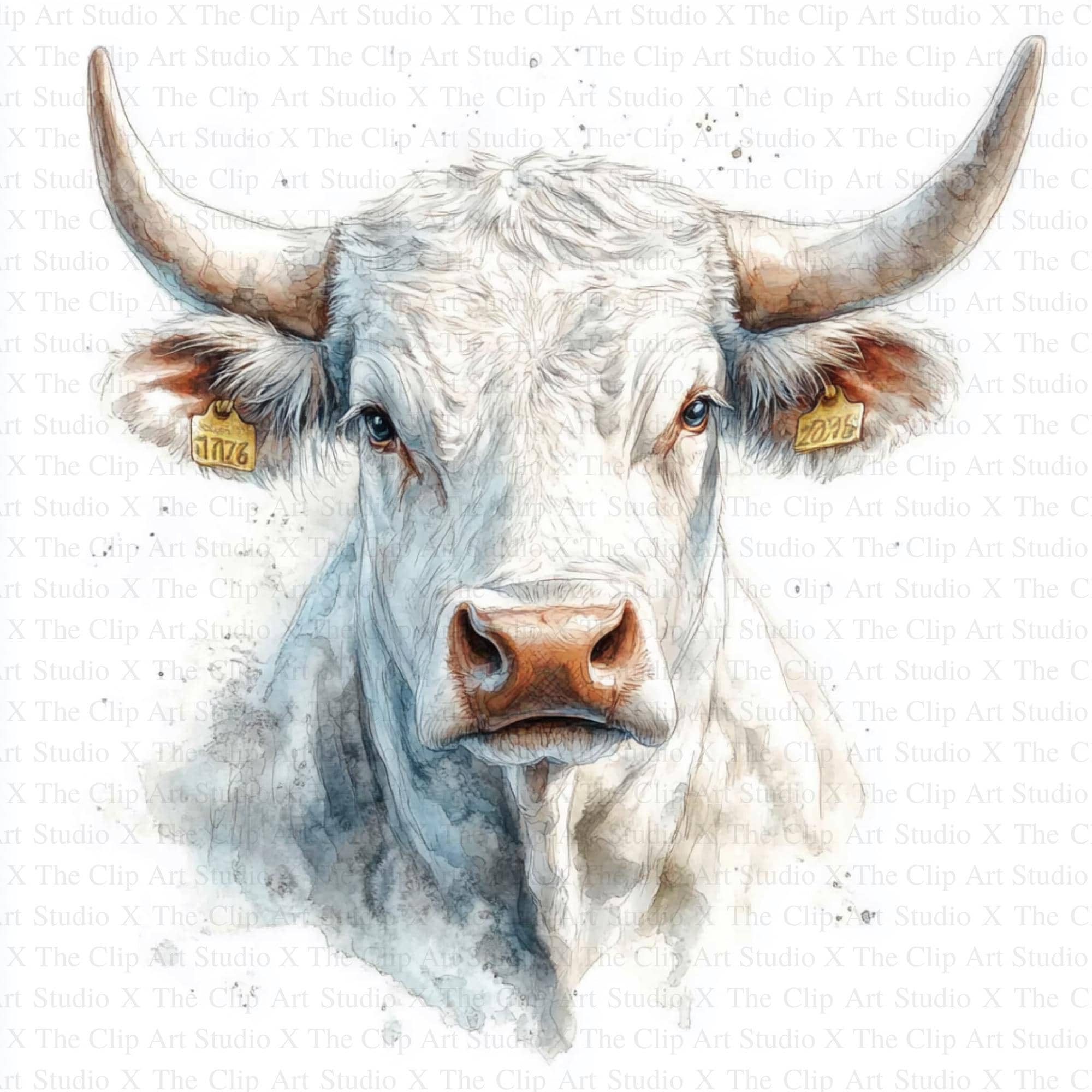 Bull Clipart 10 High Quality Jpgs Instant Digital Download Card Making ...