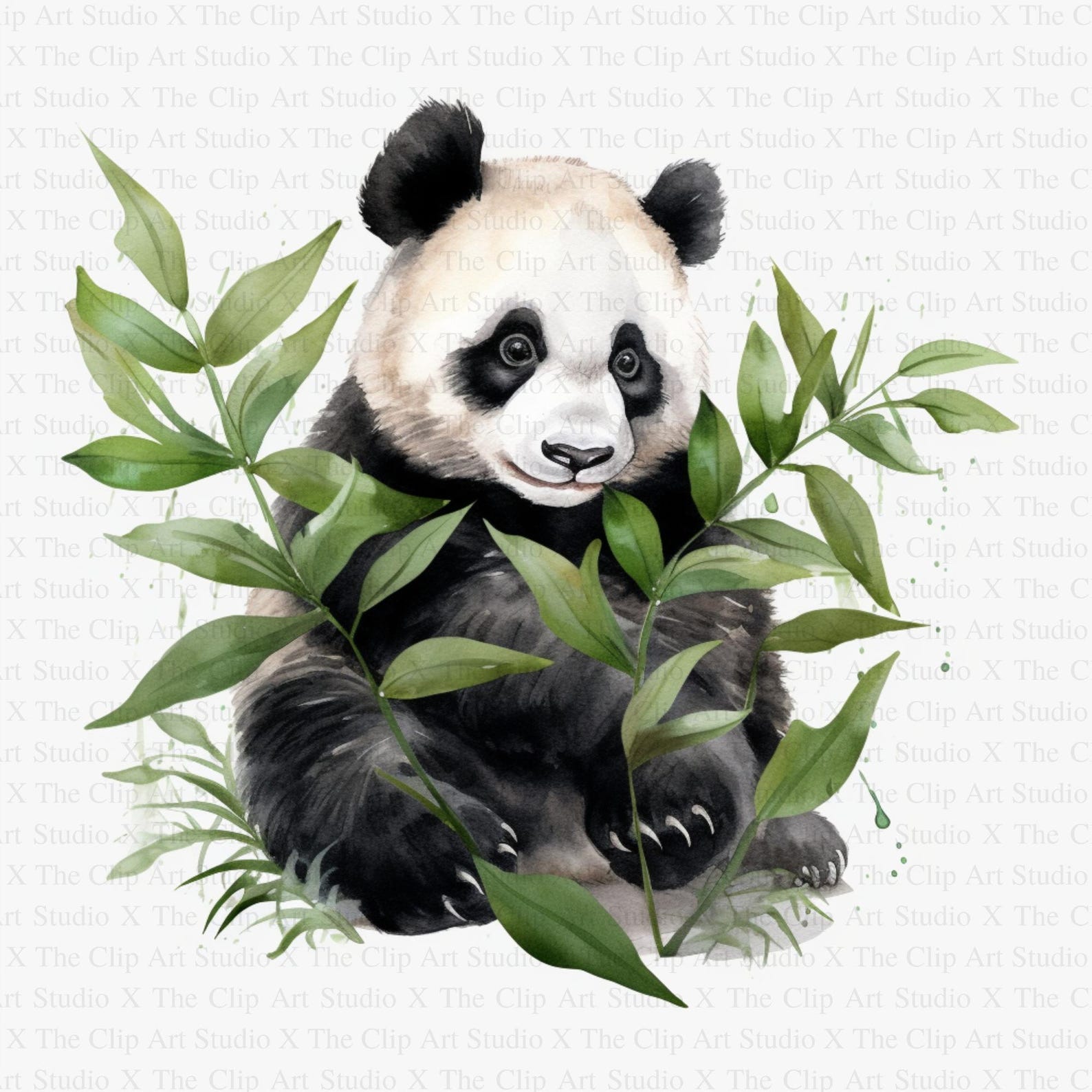 Panda Clipart | 10 High Quality Jpgs | Digital Download | Digital Paper ...
