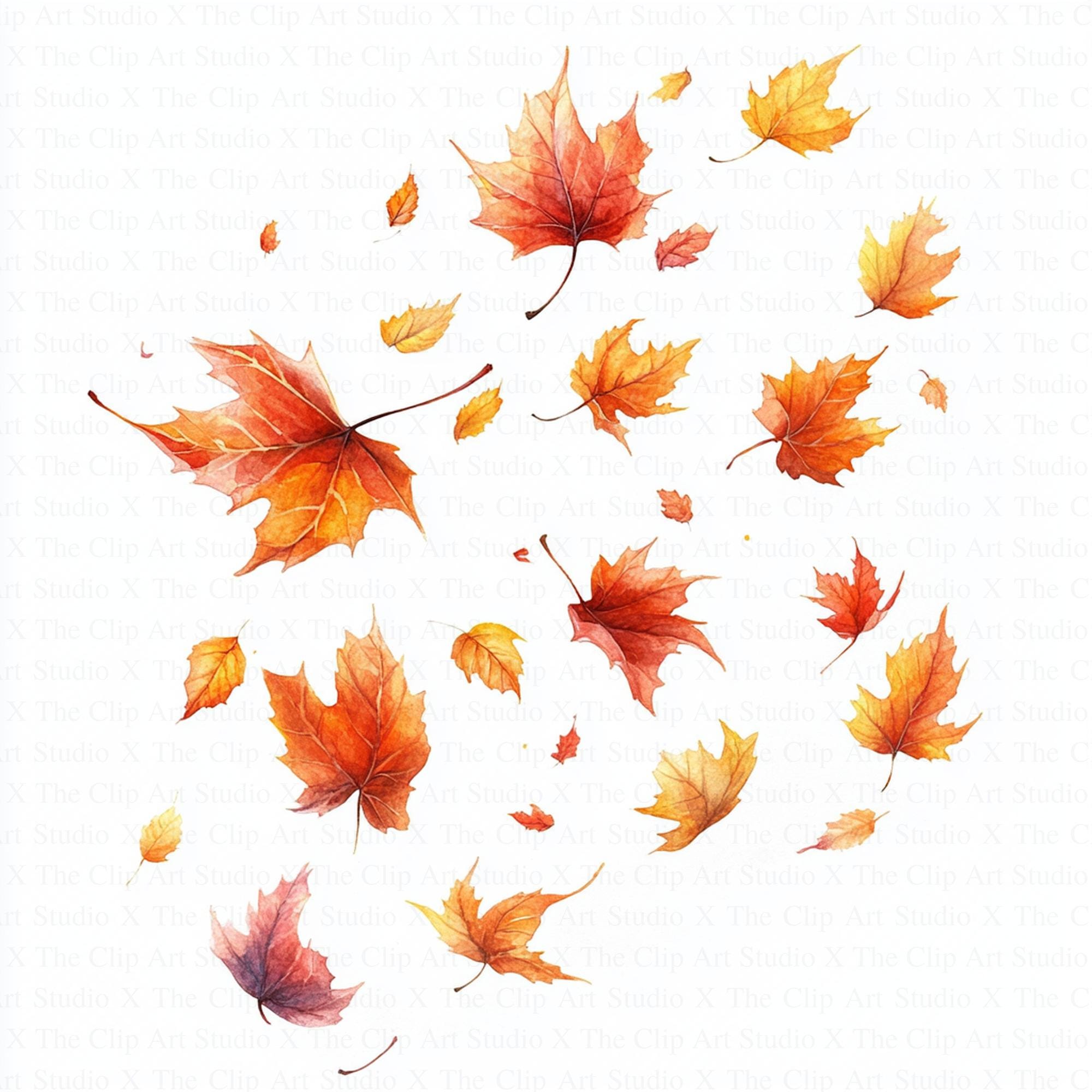Falling Autumn Leaves Clipart | 10 High Quality JPG | Digital Download ...