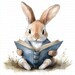 Bunny Reading Book Clipart | 10 High Quality Jpgs | Digital Download ...