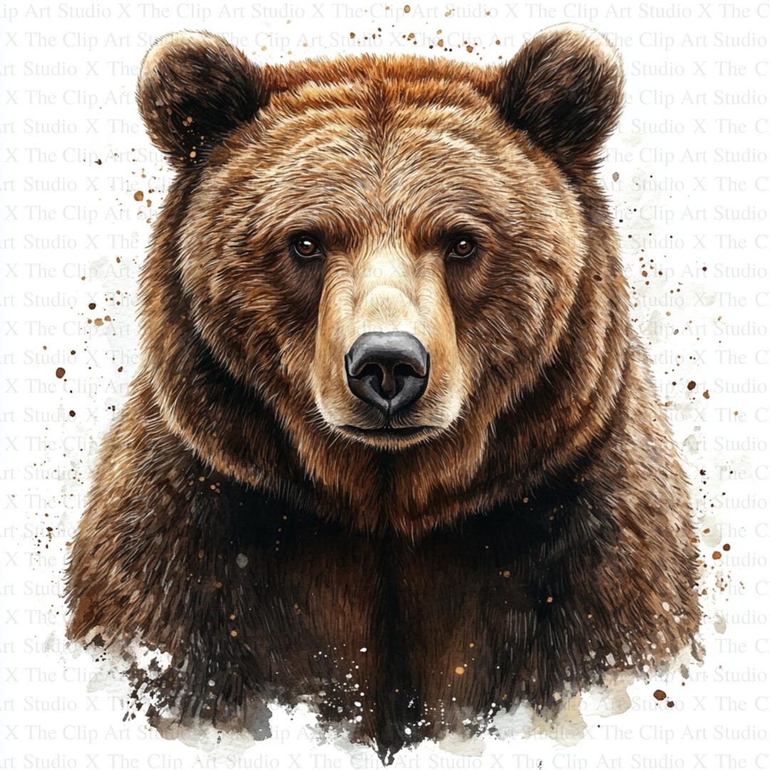 Grizzly Bear Clipart | 10 High Quality Jpgs | Digital Download | Card ...