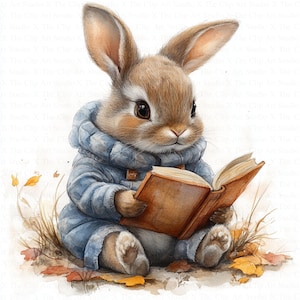 Bunny Reading Book Clipart | 10 High Quality Jpgs | Digital Download ...
