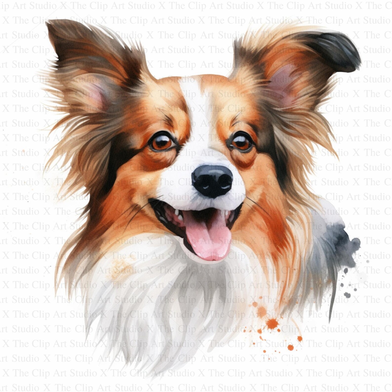 Papillon Clipart 10 High Quality Jpgs Digital Download Digital Planner ...
