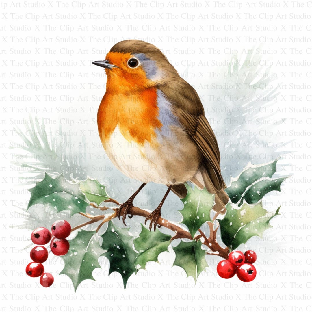 Christmas Robin Clipart | 10 High Quality Jpgs | Digital Download ...