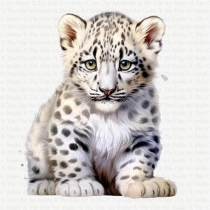 Snow Leopard Clipart | 10 High Quality Jpgs | Digital Download | Junk ...