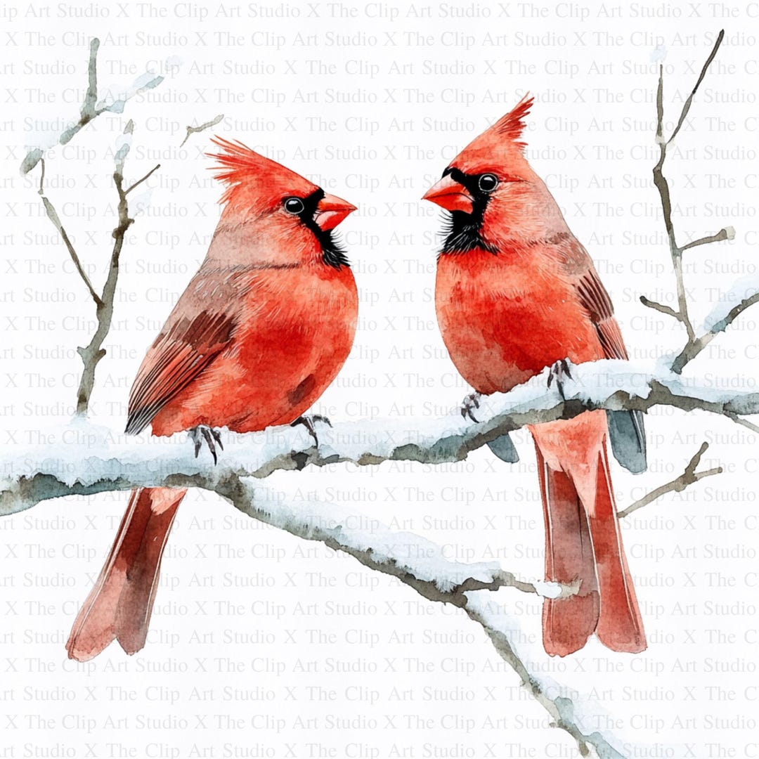 Winter Red Cardinals Clipart | 10 High Quality Jpgs | Digital Download ...