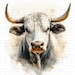 Bull Clipart | 10 High Quality Jpgs | Instant Digital Download ...