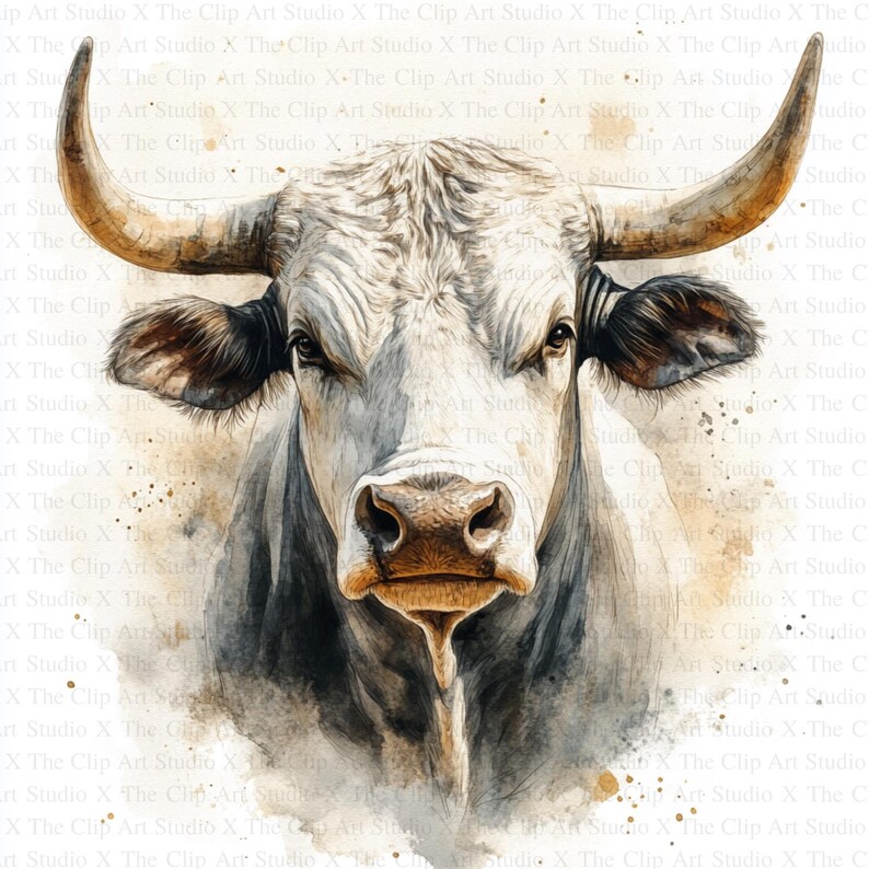 Bull Clipart | 10 High Quality Jpgs | Instant Digital Download ...