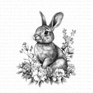 Bunny Black Ink Clipart | 10 High Quality Jpgs | Instant Digital ...