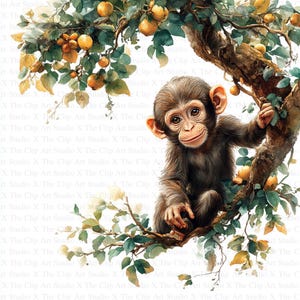 Watercolor Monkey Clipart 10 High Quality Jpgs Instant Digital Download ...