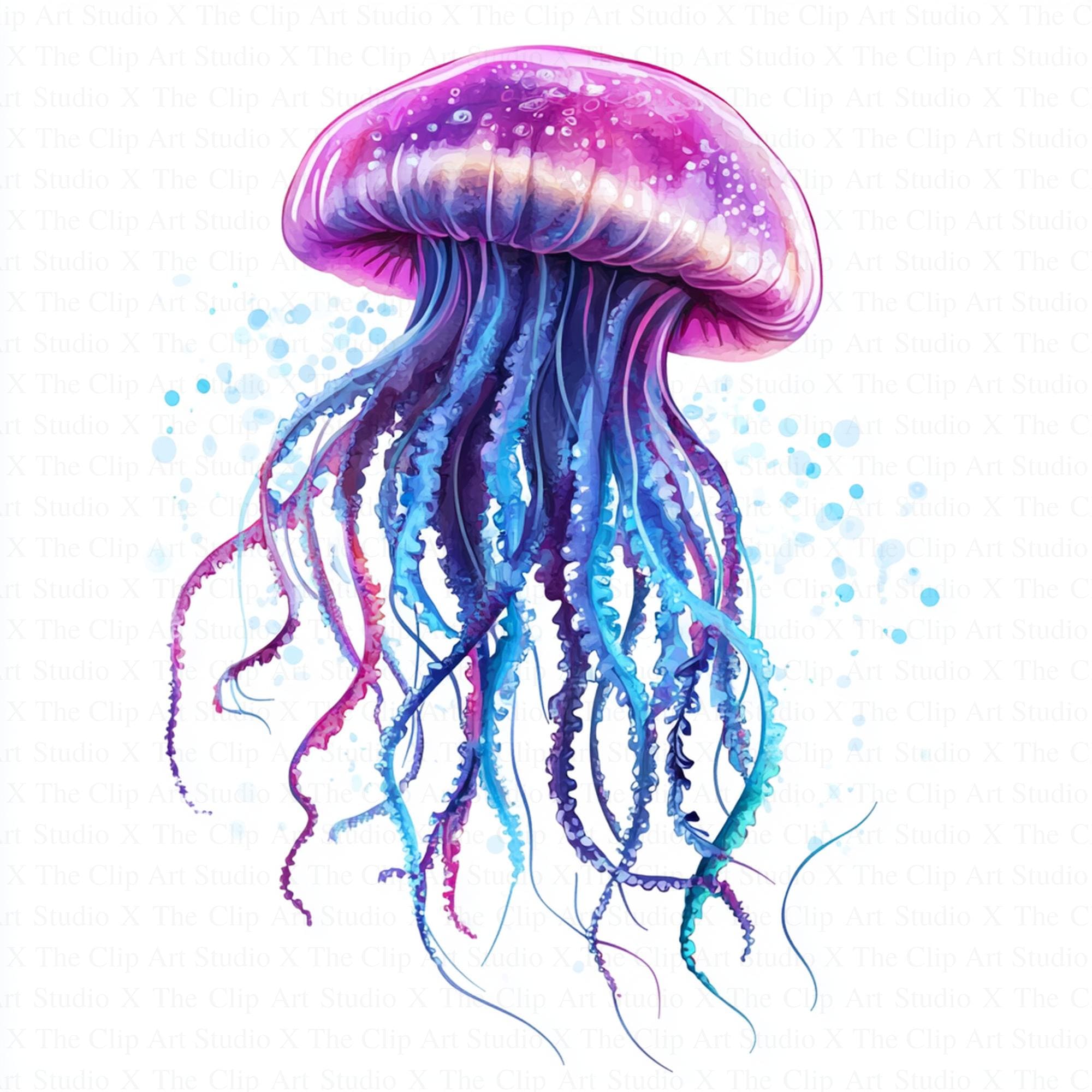 Jellyfish Clipart | 10 High Quality Jpgs | Digital Download | Sea Jelly ...