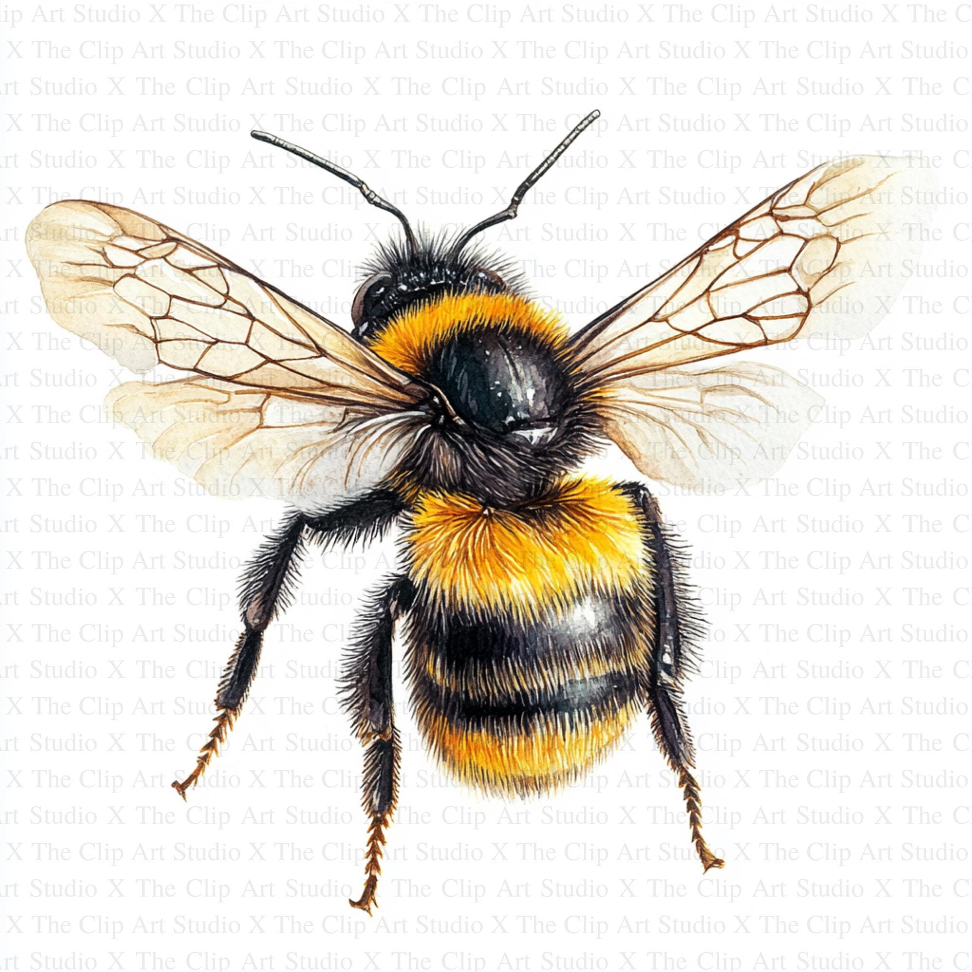 Buzzing Bees Clipart | 10 High Quality Jpgs | Digital Download ...