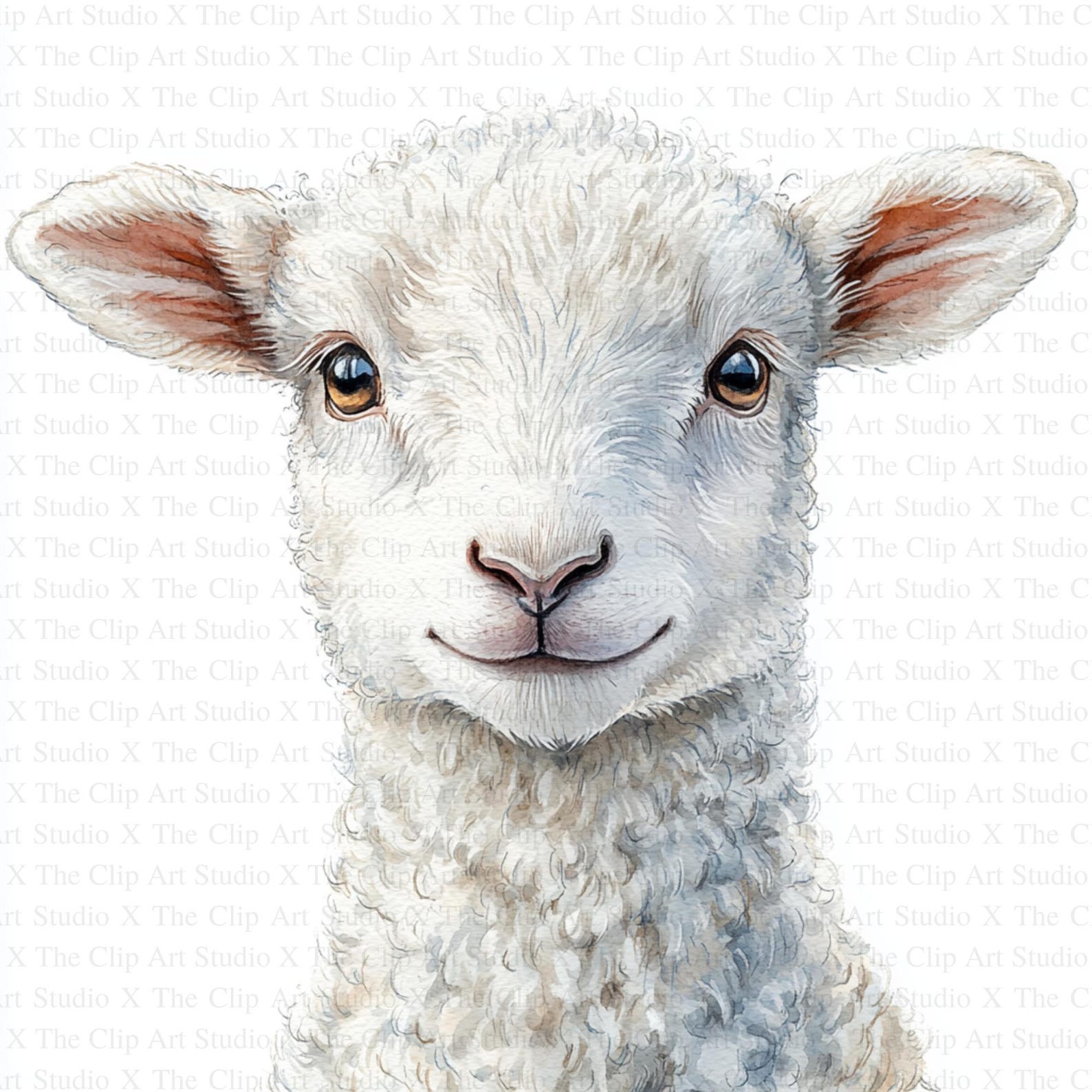 Lamb Clipart | 10 High Quality Jpgs | Instant Digital Download ...