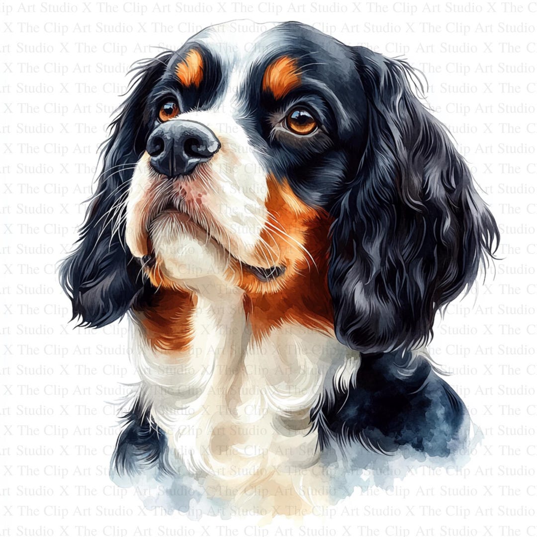 Cavalier King Charles Spaniel Clipart | 10 High Quality Jpgs | Digital ...