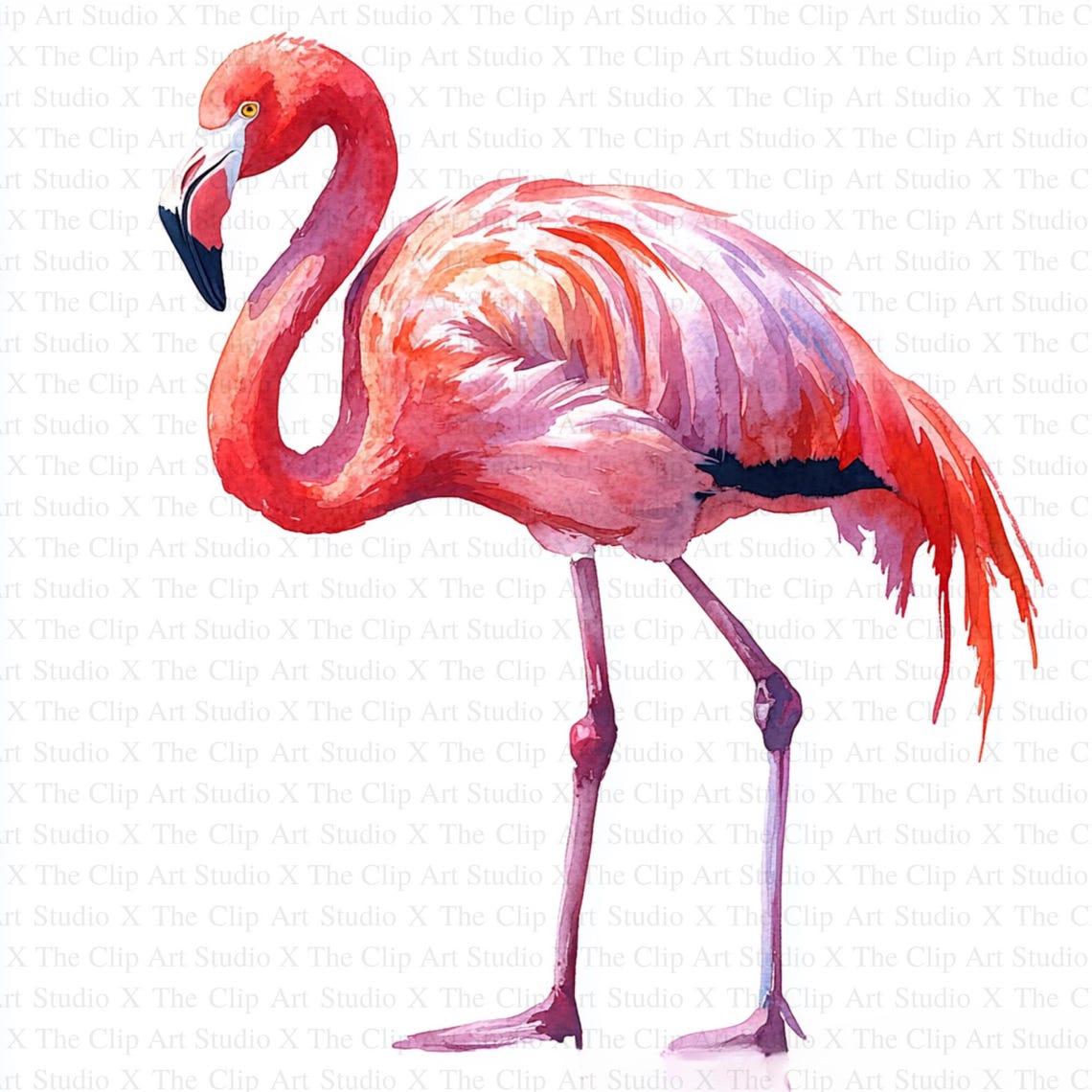 Flamingo Clipart | 10 High Quality Jpgs | Digital Download | Flamingo ...