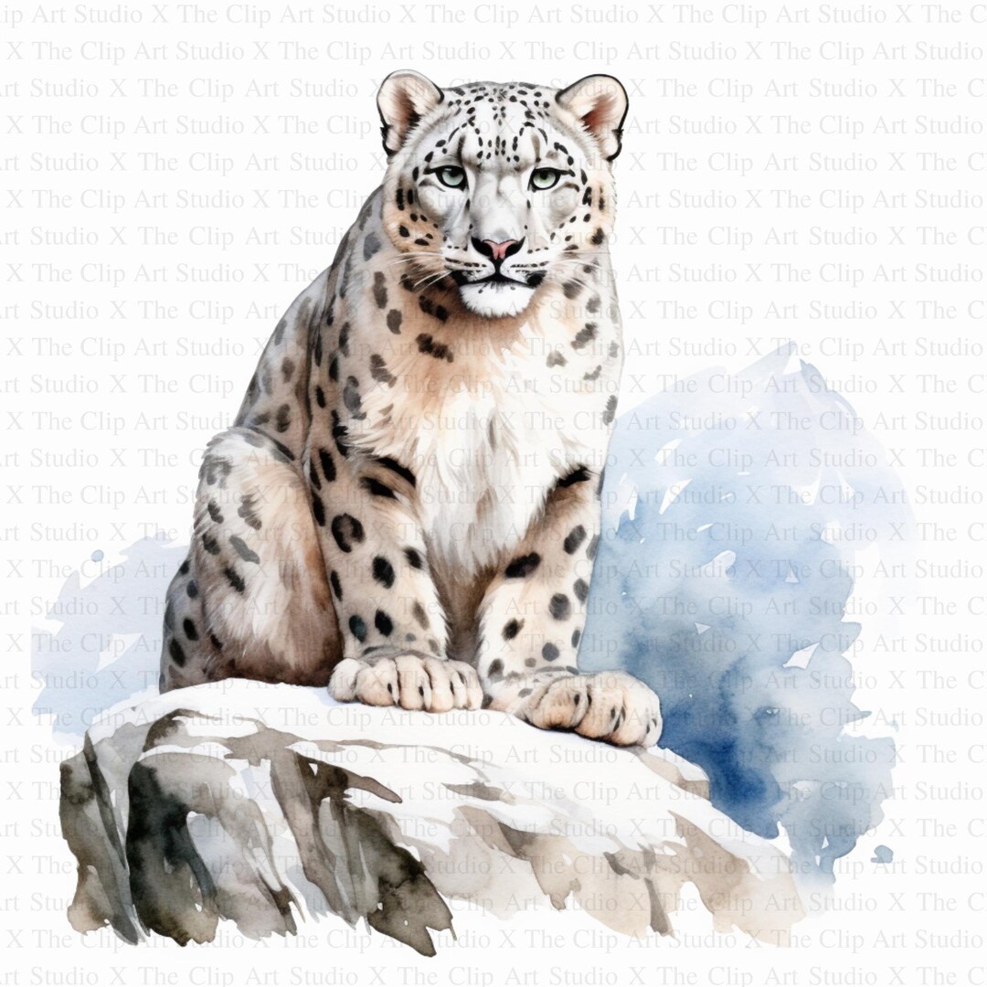 Snow Leopard Clipart | 10 High Quality Jpgs | Digital Download ...