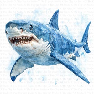 Watercolor Shark Clipart | 10 High Quality Jpgs | Digital Download ...