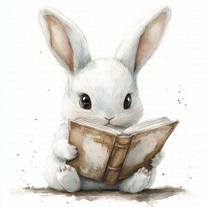 Bunny Reading Book Clipart | 10 High Quality Jpgs | Digital Download ...