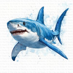 Watercolor Shark Clipart | 10 High Quality Jpgs | Digital Download ...