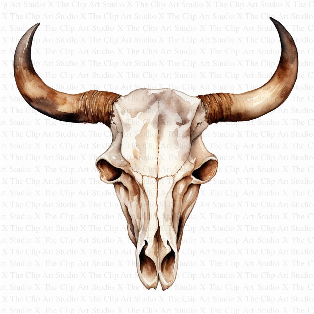 Cow Skull Clipart | 10 High Quality Jpgs | Instant Digital Download ...
