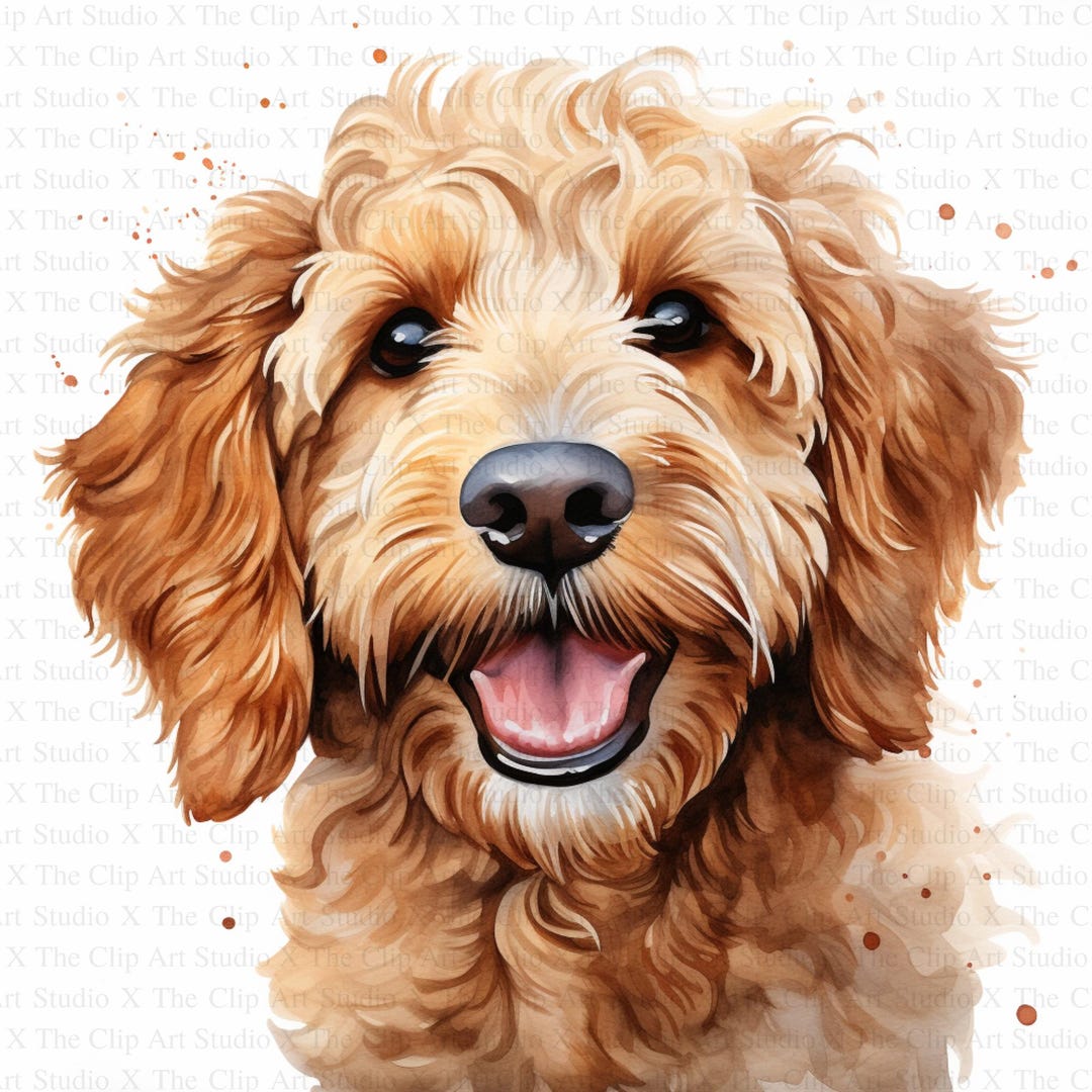 Goldendoodle Clipart | 10 High Quality Jpgs | Digital Download ...