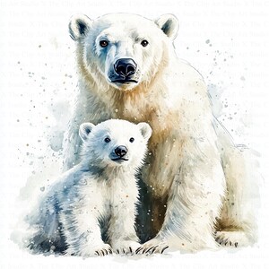 Polar Bear and Cub Clipart | 10 High Quality Jpgs | Digital Download ...