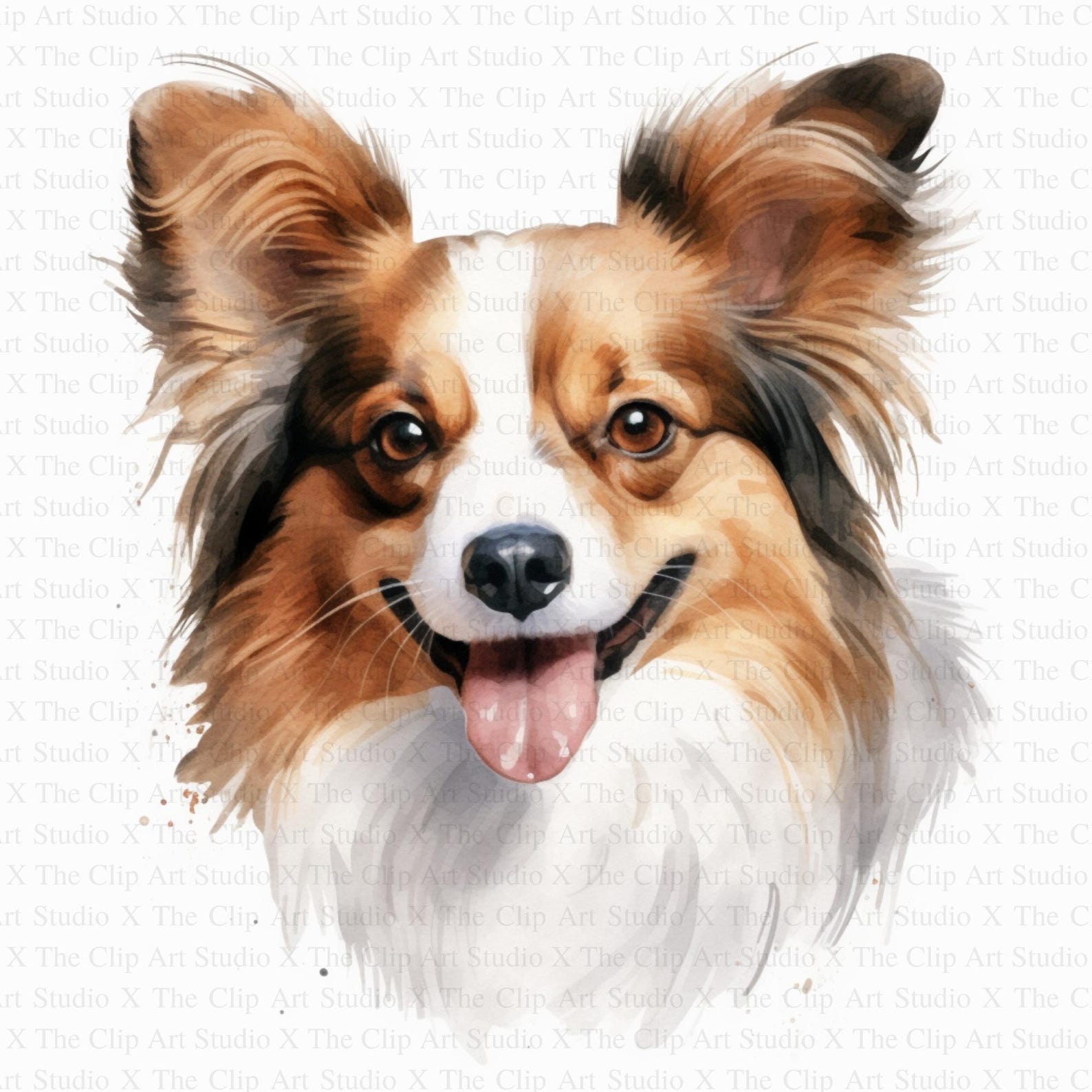 Papillon Clipart 10 High Quality Jpgs Digital Download Digital Planner ...