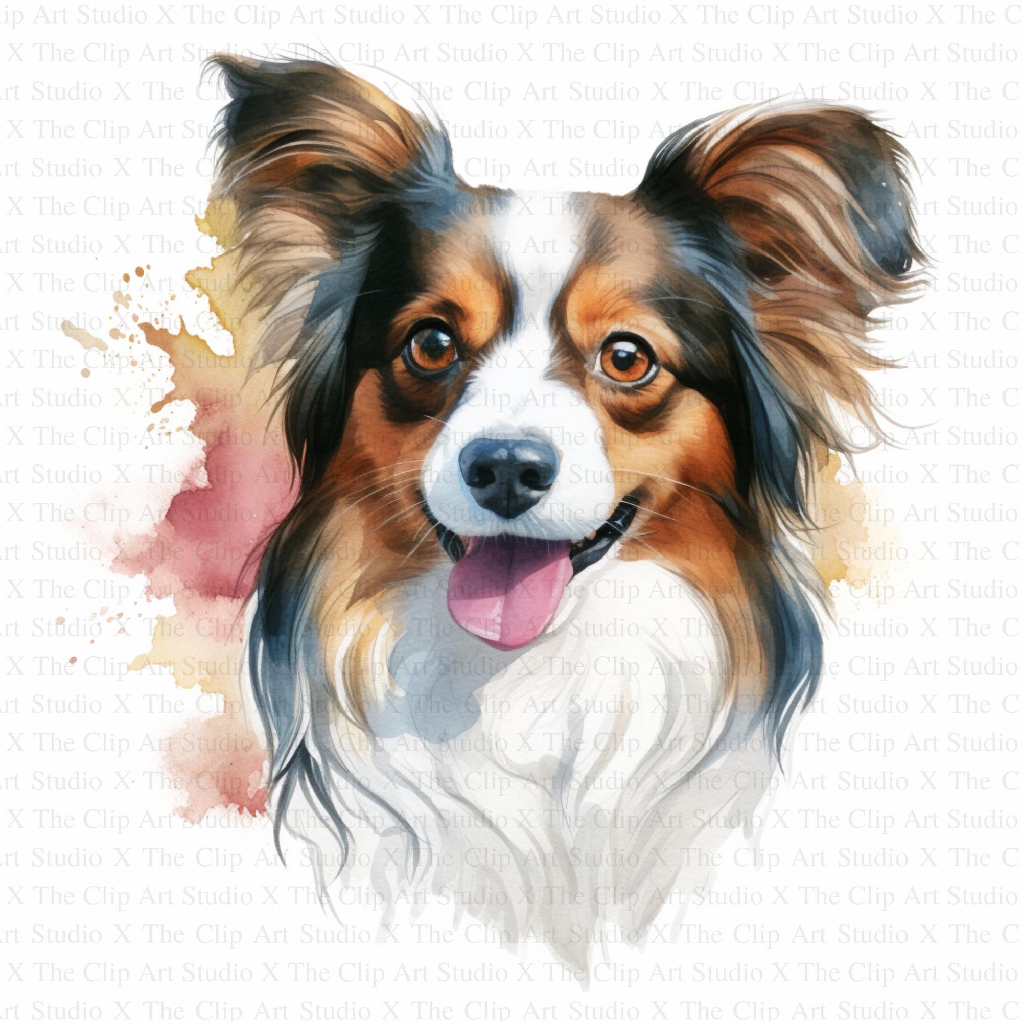 Papillon Clipart 10 High Quality Jpgs Digital Download Digital Planner ...