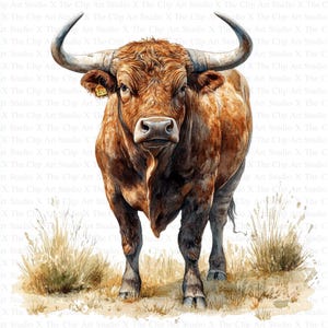 Bull Clipart | 10 High Quality Jpgs | Instant Digital Download ...
