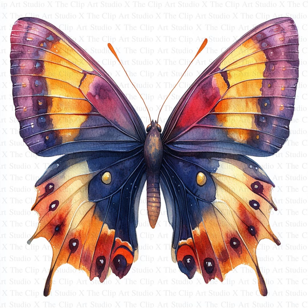 Whimsical Butterflies Clipart | 10 High Quality Jpgs | Digital Download ...