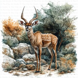 Great Kudu Clipart | 10 High Quality Jpgs | Instant Digital Download ...