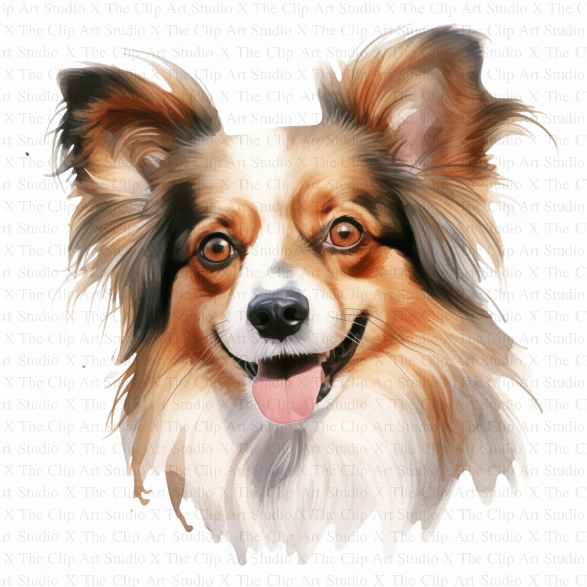 Papillon Clipart 10 High Quality Jpgs Digital Download Digital Planner ...