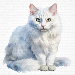 White Cats Clipart | 10 High Quality Jpgs | Digital Download | Nursery ...