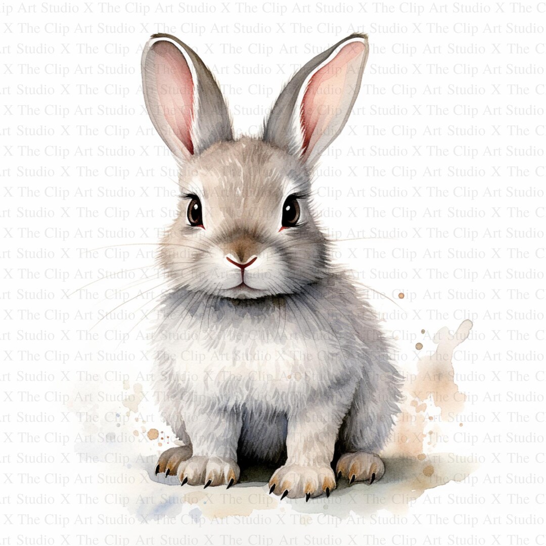 Bunny Black Ink Clipart | 10 High Quality Jpgs | Instant Digital ...