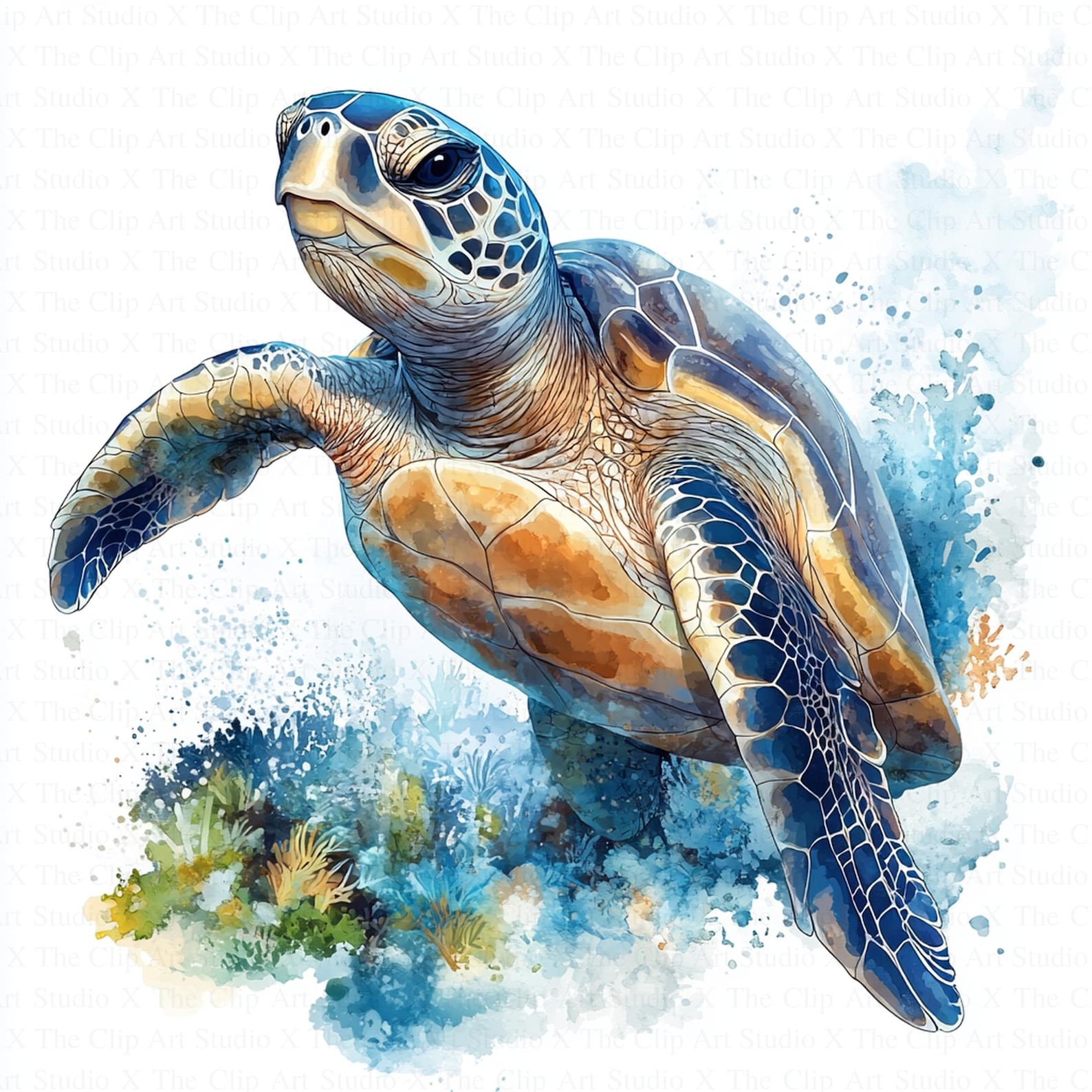 Sea Turtle Clipart | 10 High Quality Jpgs | Digital Download | Marine ...