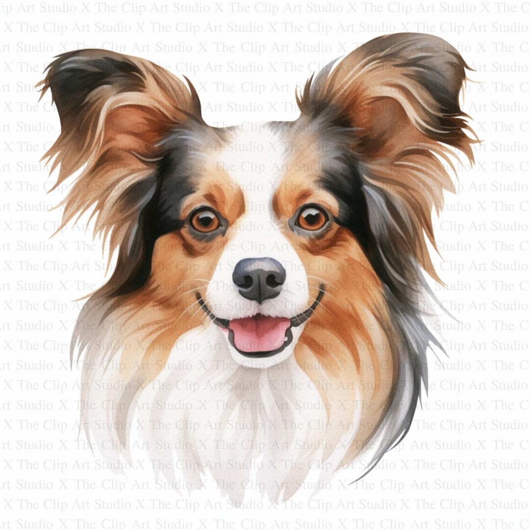 Papillon Clipart | 10 High Quality Jpgs | Digital Download | Digital ...