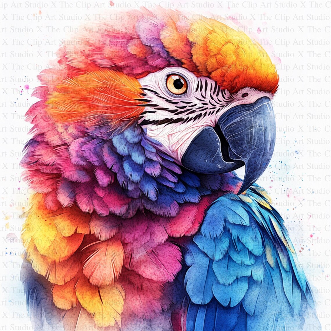 Colorful Parrot Clipart 10 High Quality Jpgs Digital Download Parrot ...
