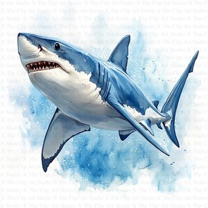 Watercolor Shark Clipart | 10 High Quality Jpgs | Digital Download ...