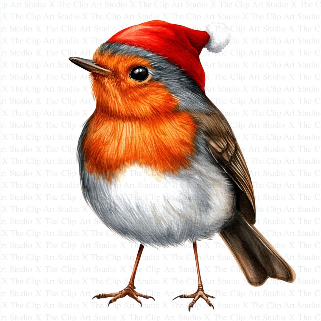 Christmas Robin Clipart | 10 High Quality Jpgs | Digital Download ...