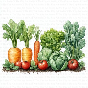 Vegetable Garden Clipart | 10 High Quality Jpgs | Digital Download ...