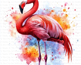 Flamingo Clipart 5 High Quality Jpgs Digital Download Nursery Art Card ...