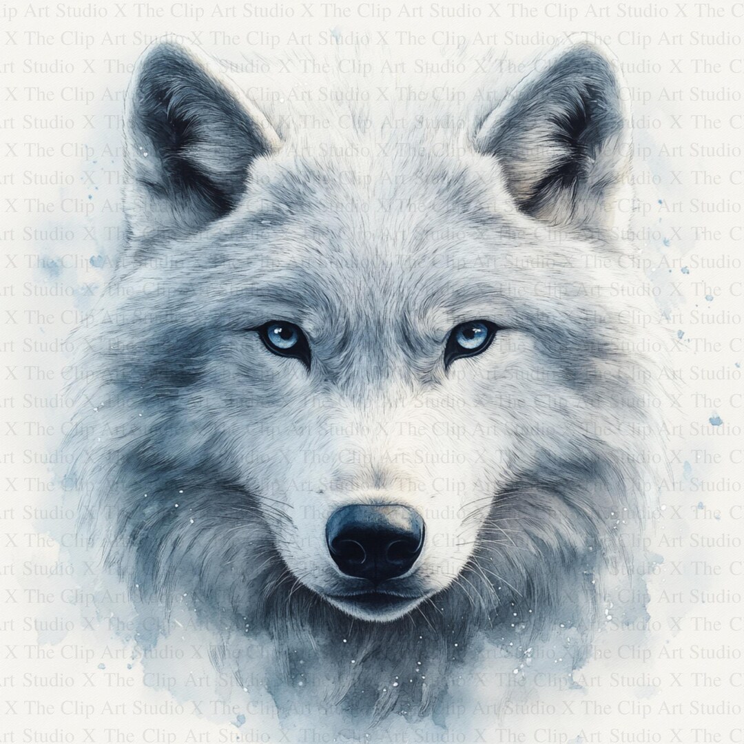 White Wolf Clipart | 10 High Quality Jpgs | Digital Download | Card ...