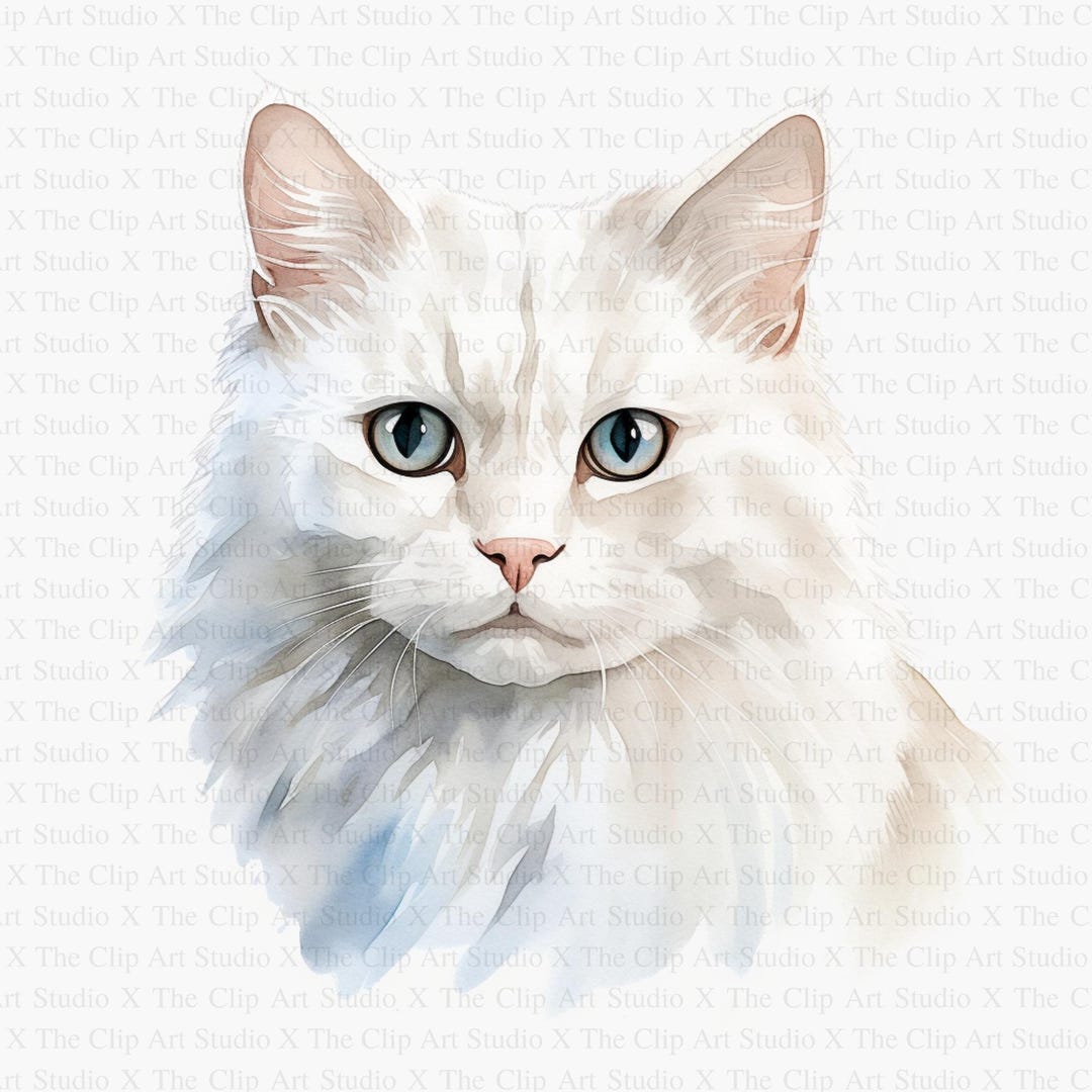 White Cats Clipart | 10 High Quality Jpgs | Digital Download | Nursery ...